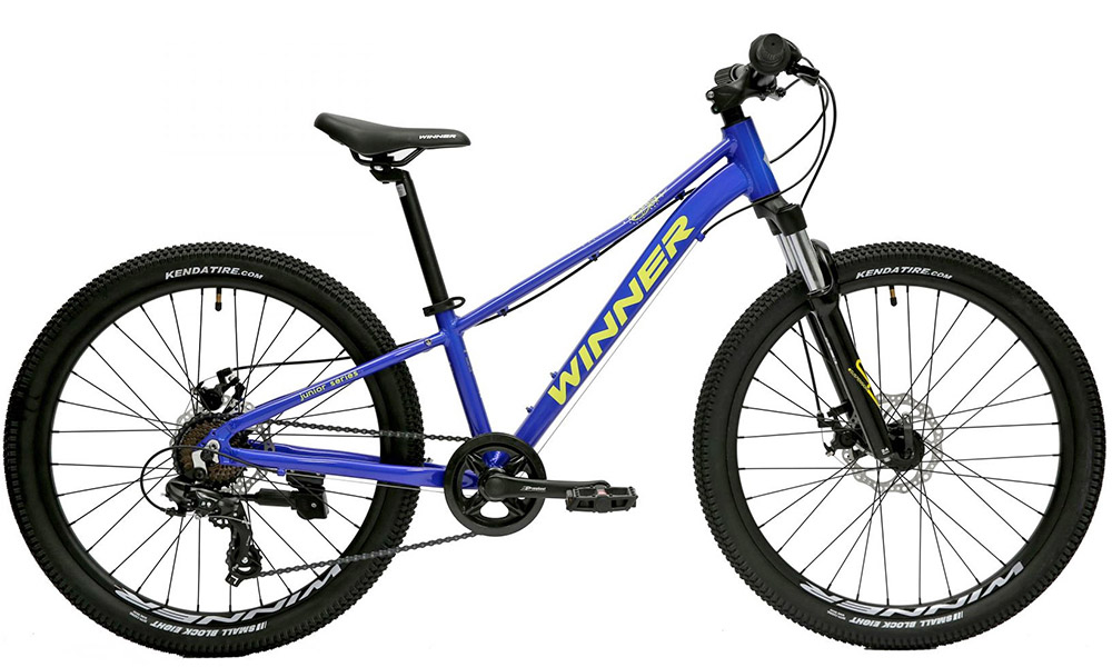 Велосипед Winner 24" BETTY 11" Синій - ціни, відгуки, фото, характеристики | Dnipro.Bike