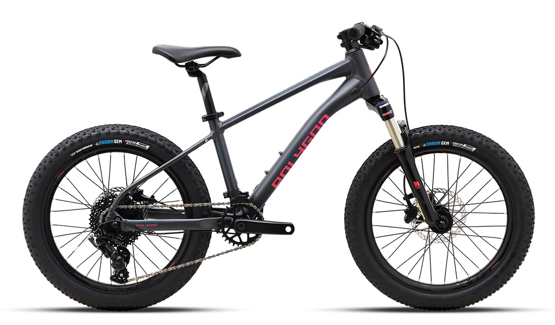 Велосипед Polygon Xtrada 20 чорний - ціни, відгуки, фото, характеристики | Dnipro.Bike