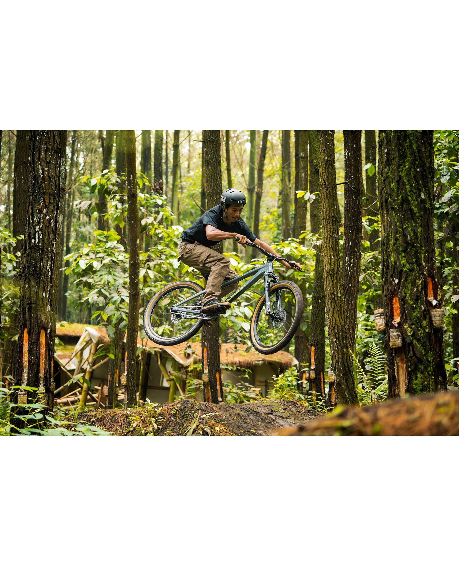 Велосипед Polygon Trid grey - ціни, відгуки, фото, характеристики ...